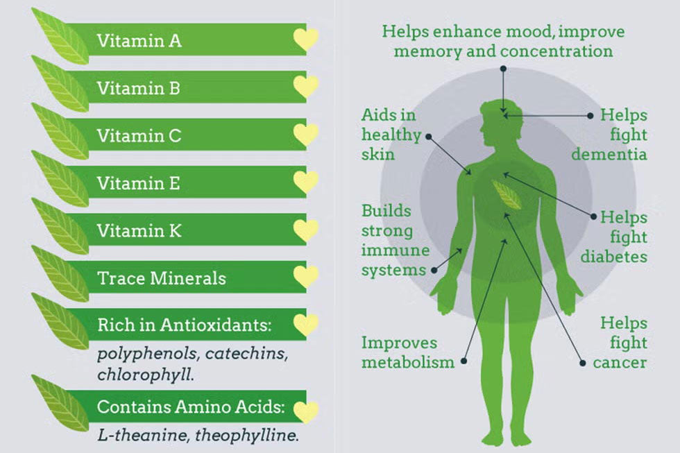 Matcha Health Benefits – Panda's Matcha